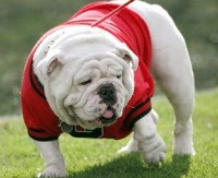 Updates and Reminders for Transfer and First Year Students - UGA Admissions